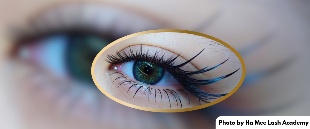 Everything about the Phoenix Style Lashes I Prolong Lash US